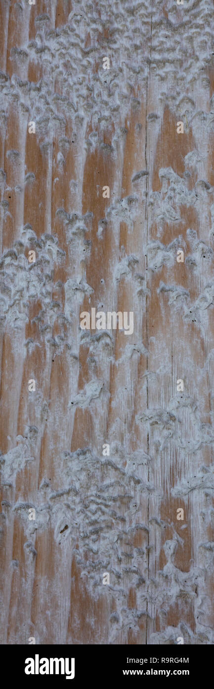 Rustic wooden plank Stock Photo - Alamy