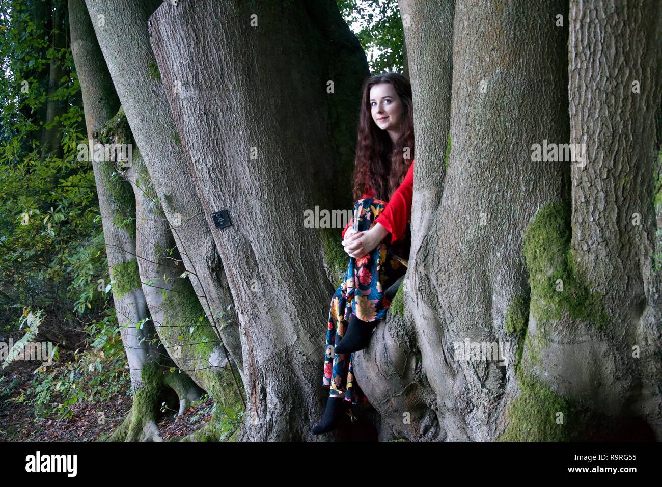A fashionably dressed lady sits between two beech trees and bites her ...