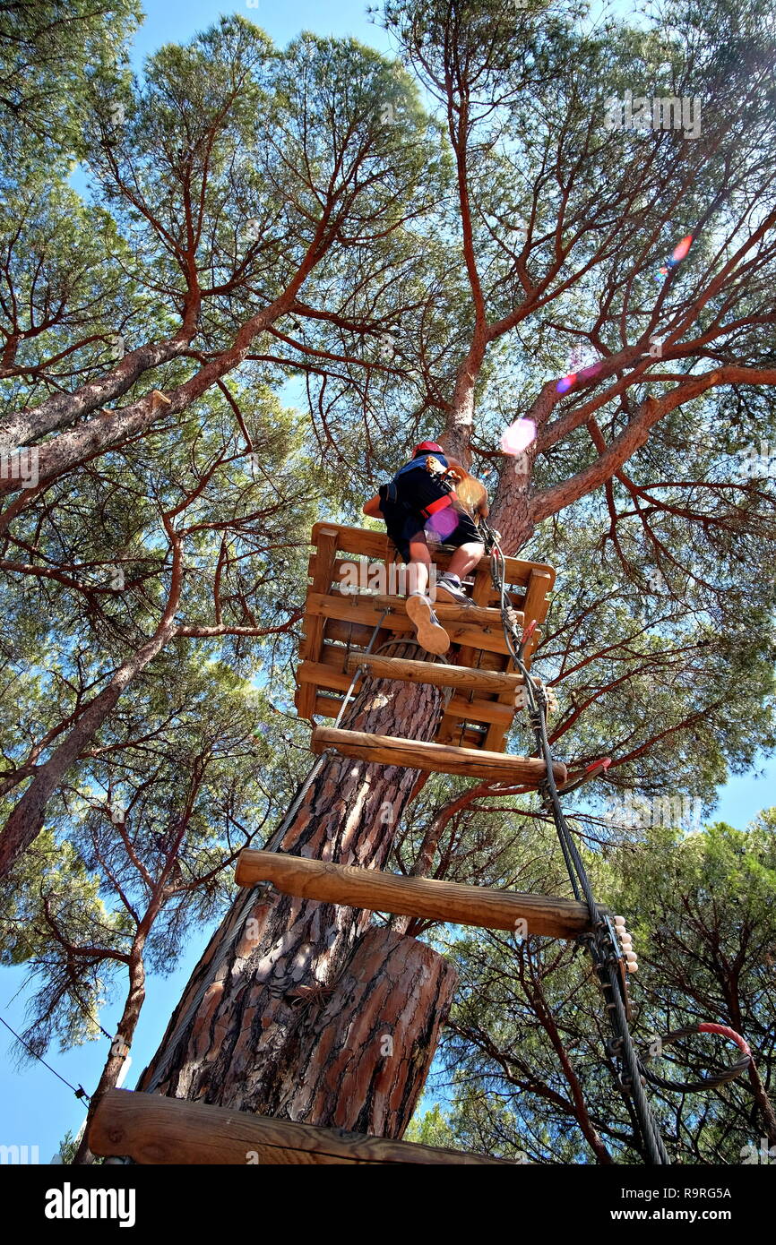 Young boy climb the tree at the adventure park Stock Photo - Alamy