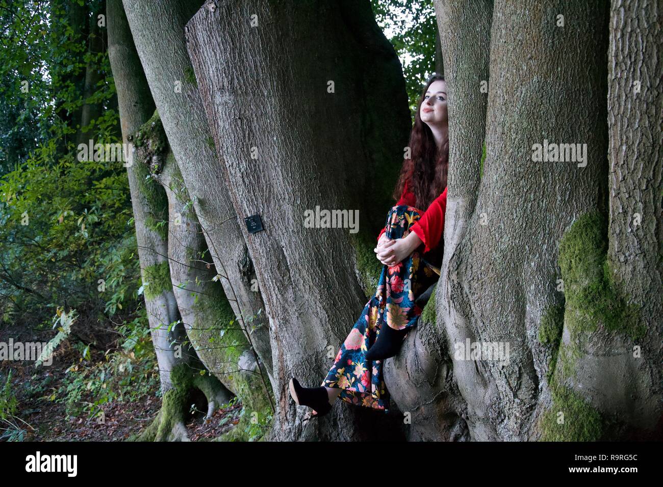 Clasping her knee hi-res stock photography and images - Alamy