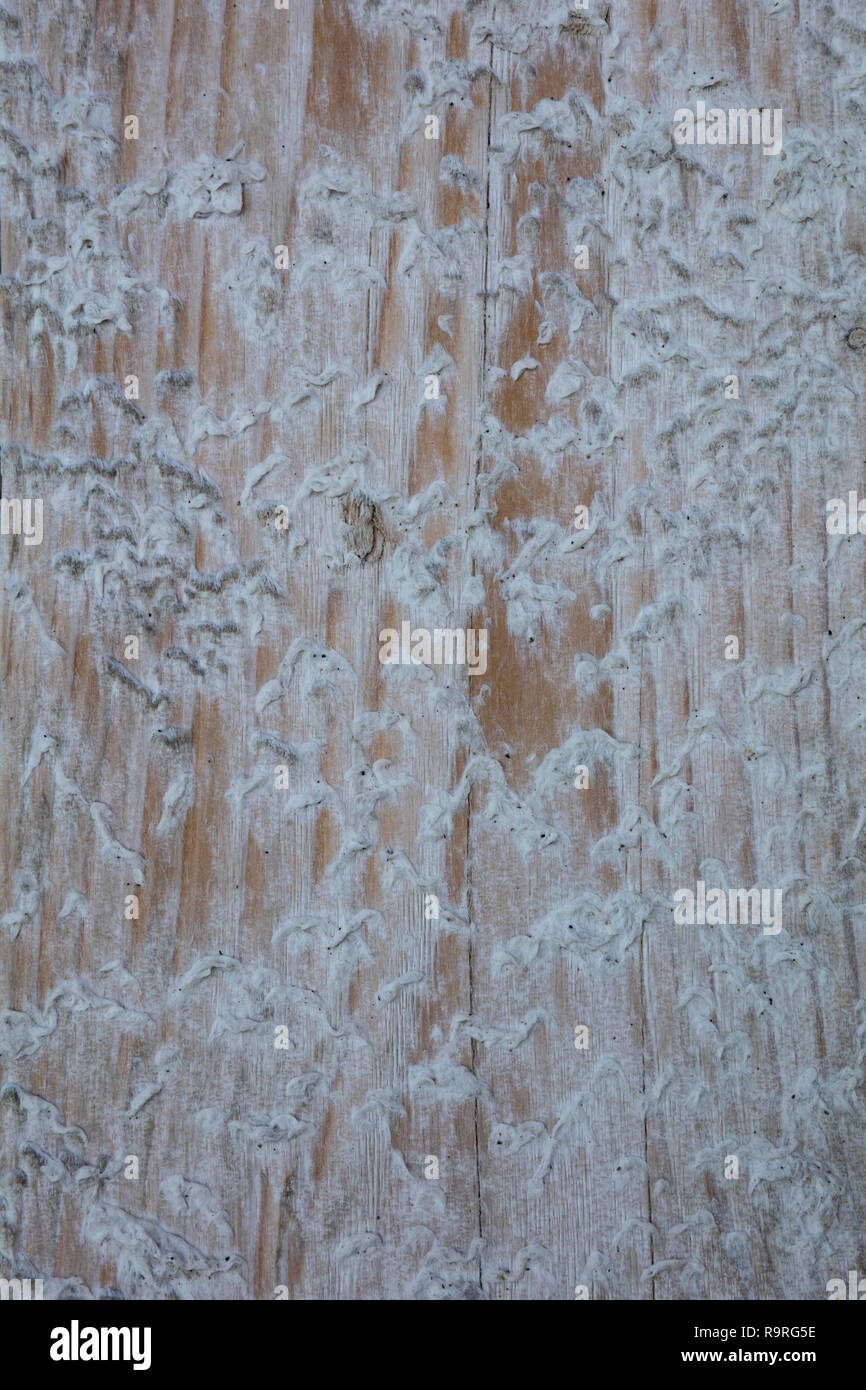 Rustic wooden plank Stock Photo - Alamy