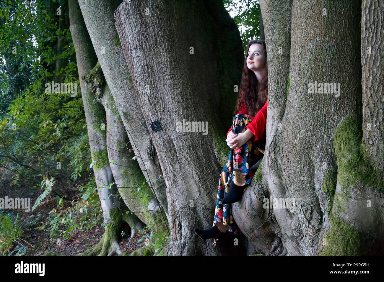 Sideways view of a fashionably dressed lady sitting between the trunks ...