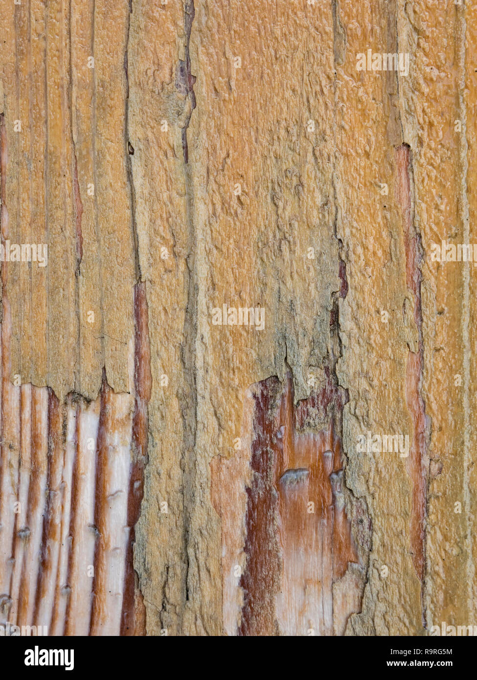 Rustic wooden plank Stock Photo - Alamy
