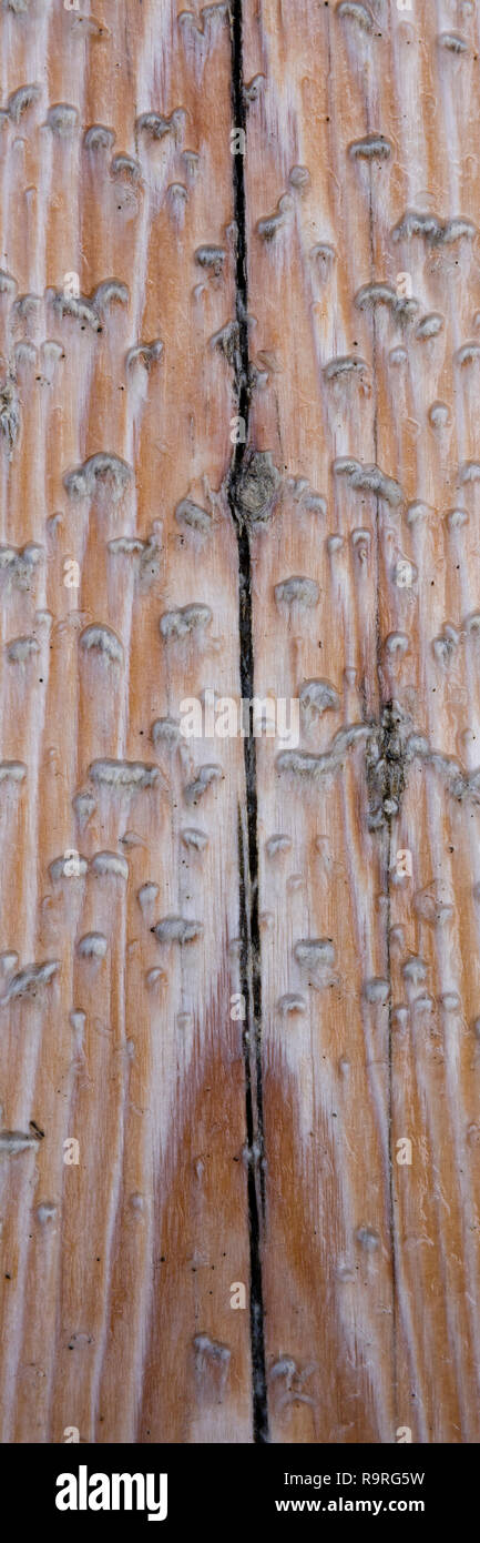 Rustic wooden plank Stock Photo - Alamy