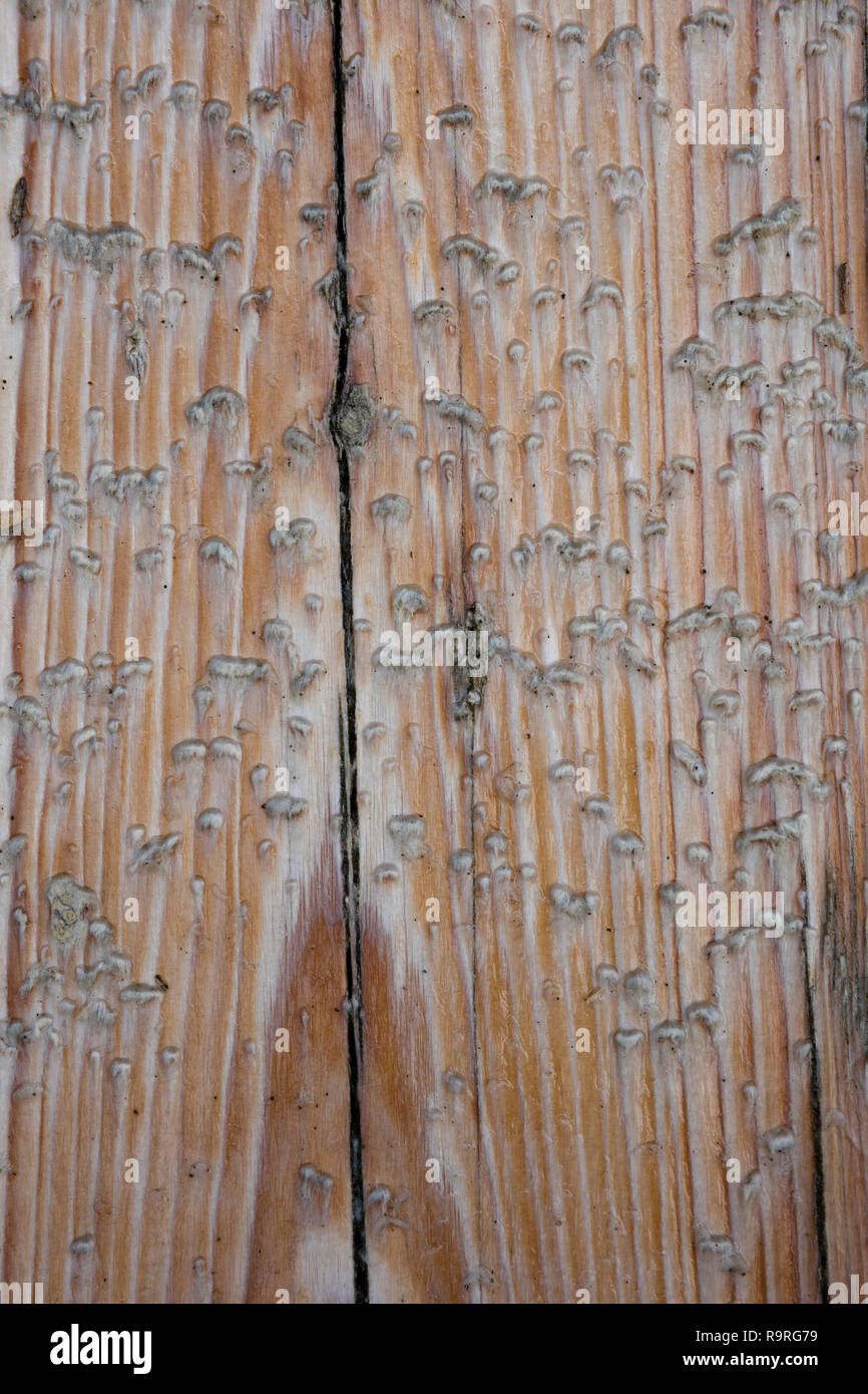 Rustic wooden plank Stock Photo - Alamy