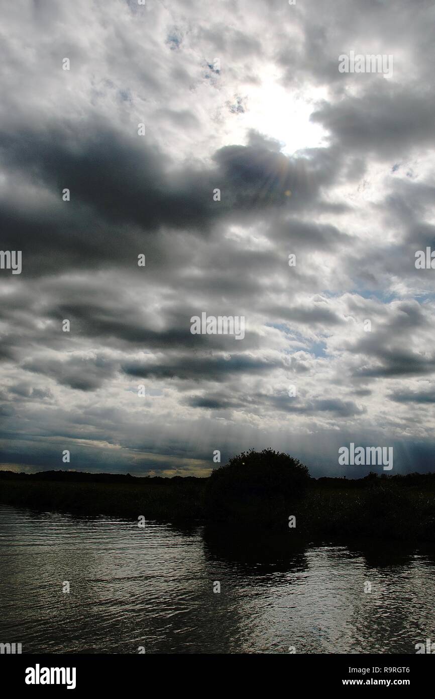 Brooding, dark shadows: silhouette and reflections of the reedbeds and ...