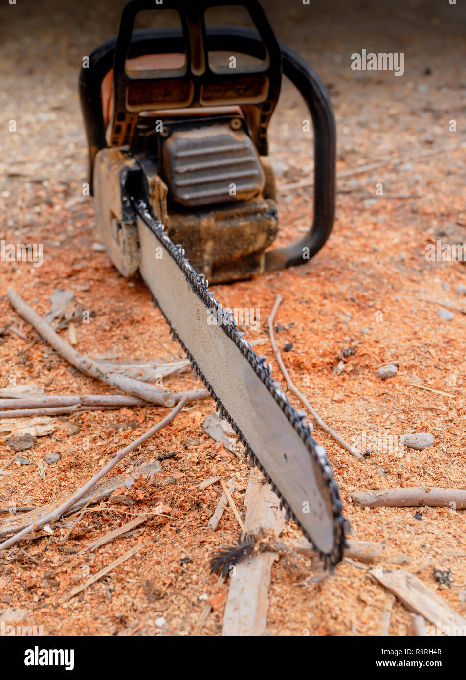 Used sharp chain saw on tree branches and sawdust Stock Photo - Alamy