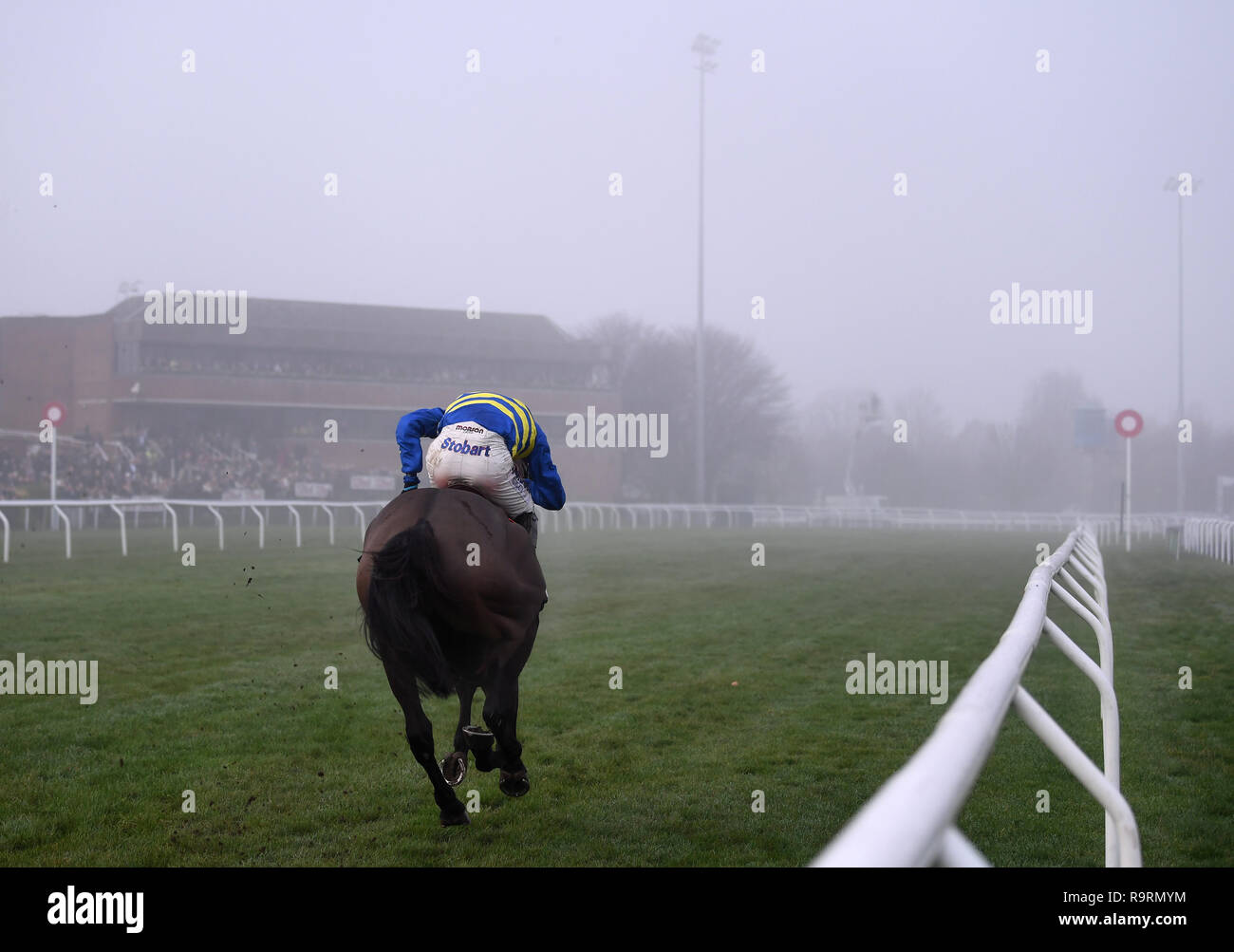 Horse racing wayward lad hi-res stock photography and images - Alamy