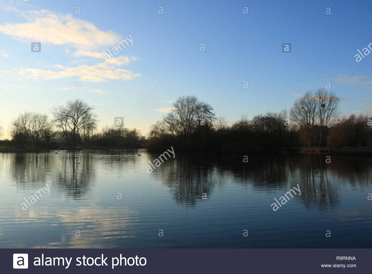 Backwell Stock Photos & Backwell Stock Images - Alamy