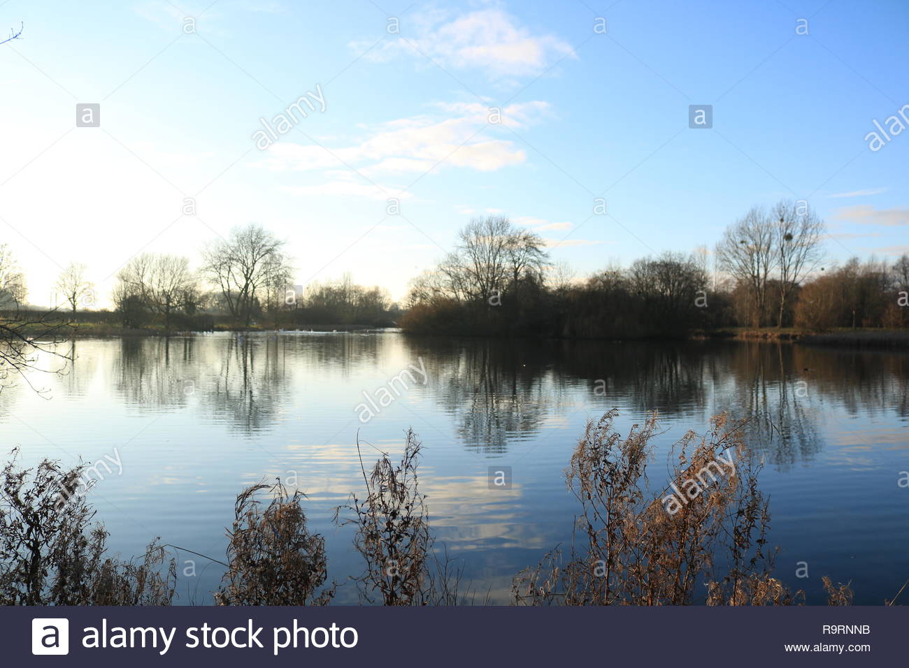 Backwell Stock Photos & Backwell Stock Images - Alamy