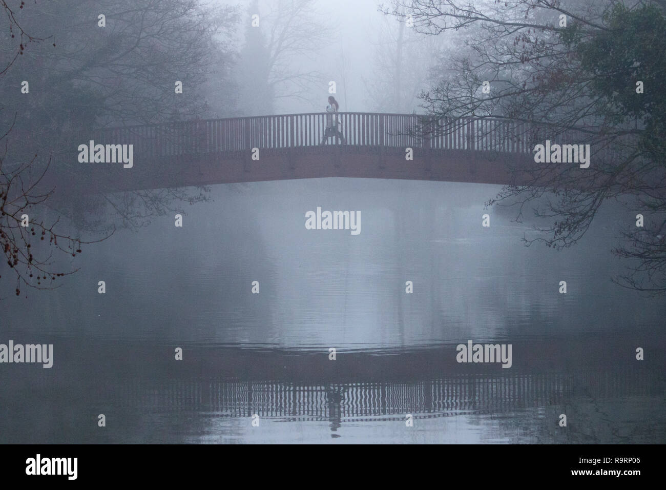 Chippenham, Wiltshire, UK. 27th December, 2018. As cold foggy winter ...