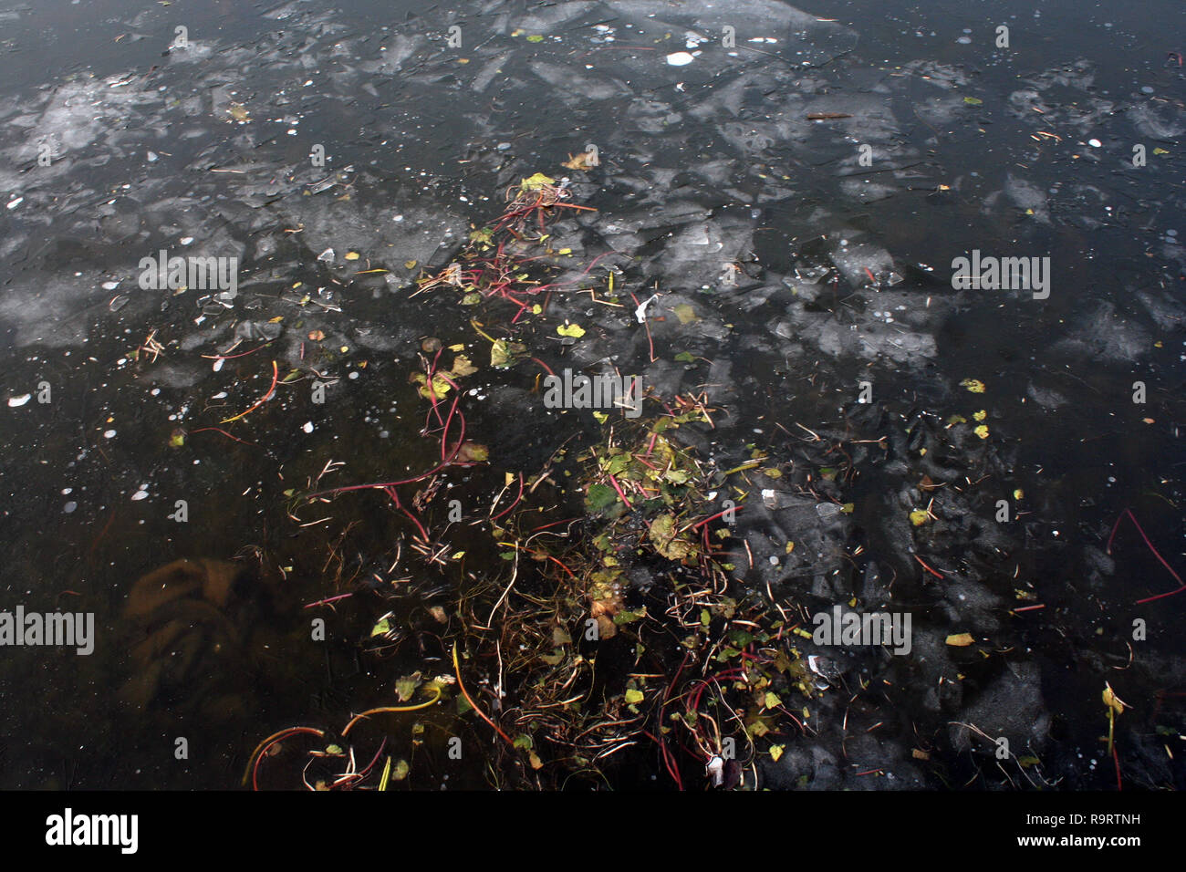 Srinagar, Kashmir. 28th Dec 2018. A partially frozen water of World ...