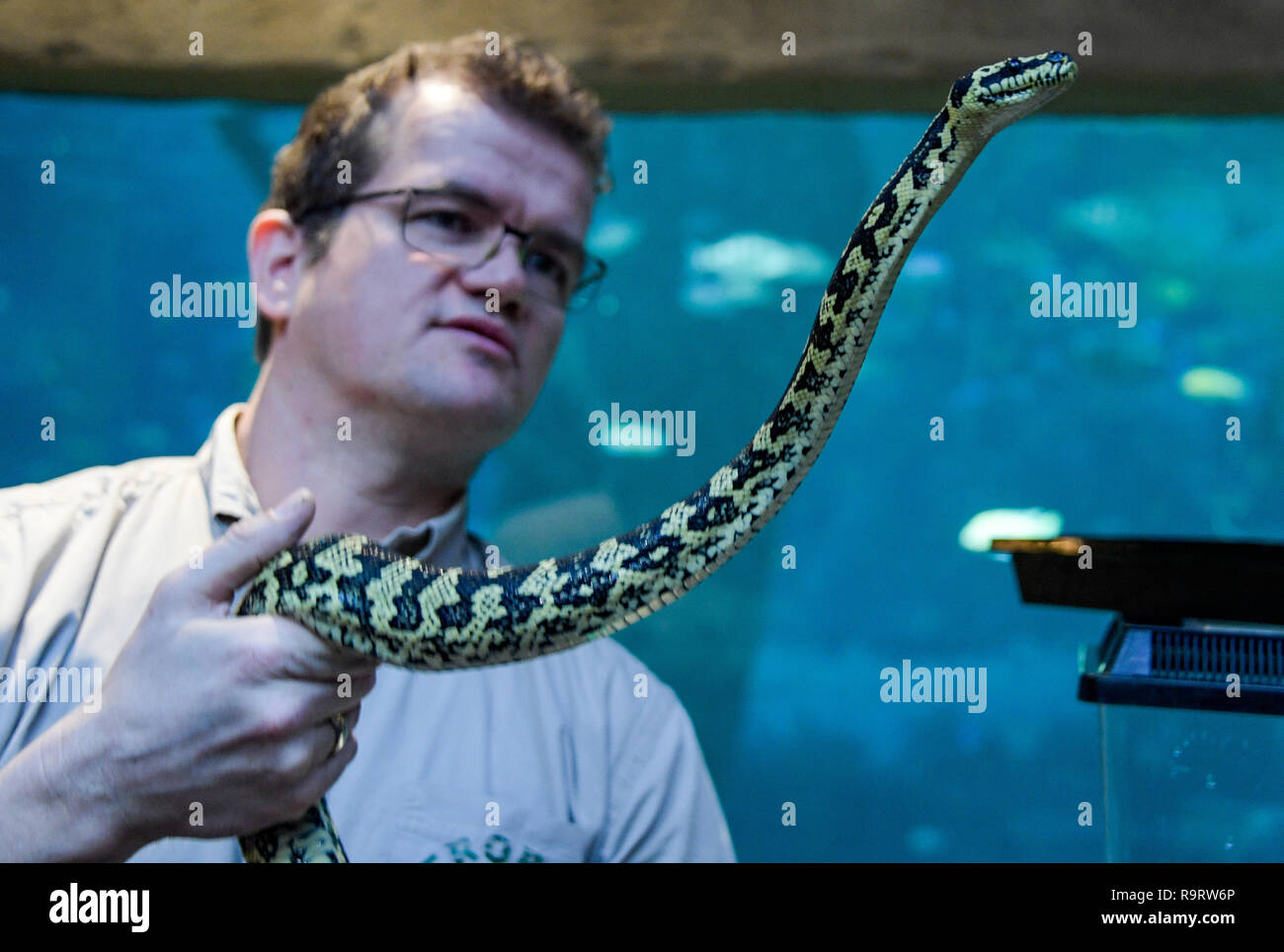 Hamburg, Germany. 28th Dec, 2018. Guido Westhoff, head of the tropical ...