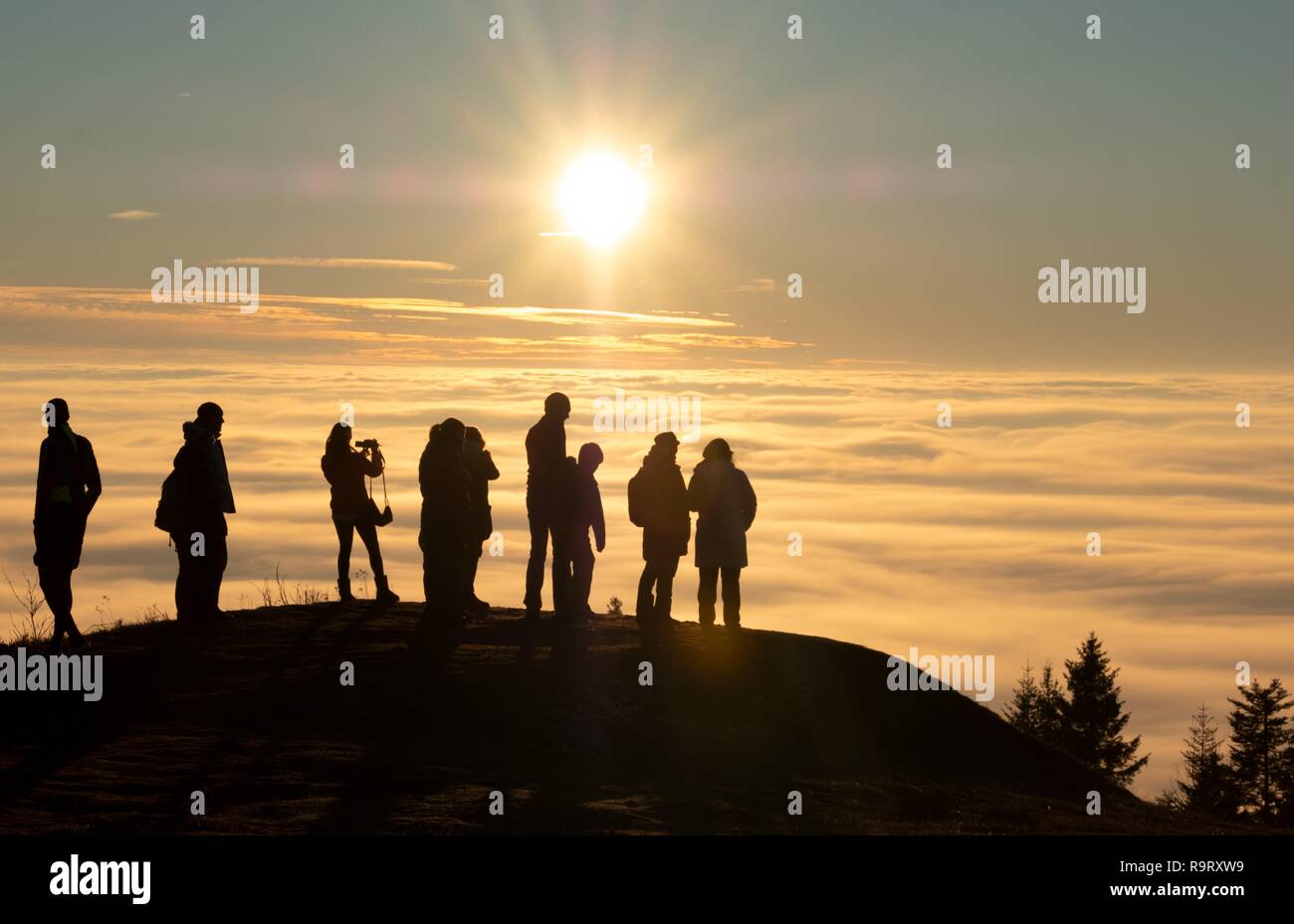 Oppenau, Germany. 28th Dec, 2018. In the Black Forest on the Rossbühl ...