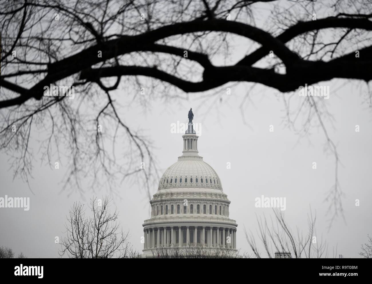 Washington, USA. 28th Dec, 2018. Photo taken on Dec. 28, 2018 shows the ...