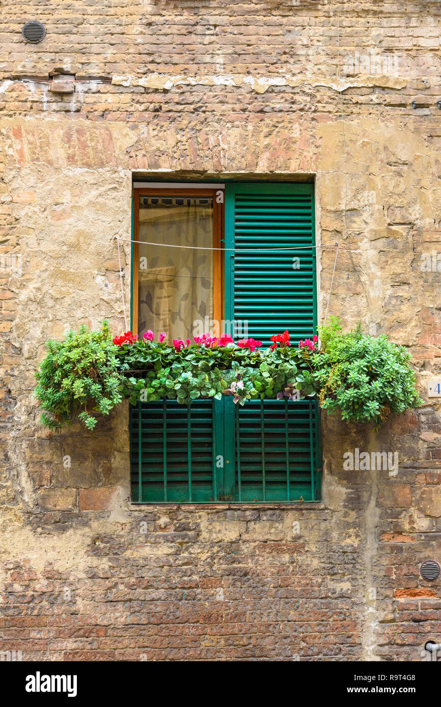 Traditional window with wooden shutters of old house in Siena. Italy ...