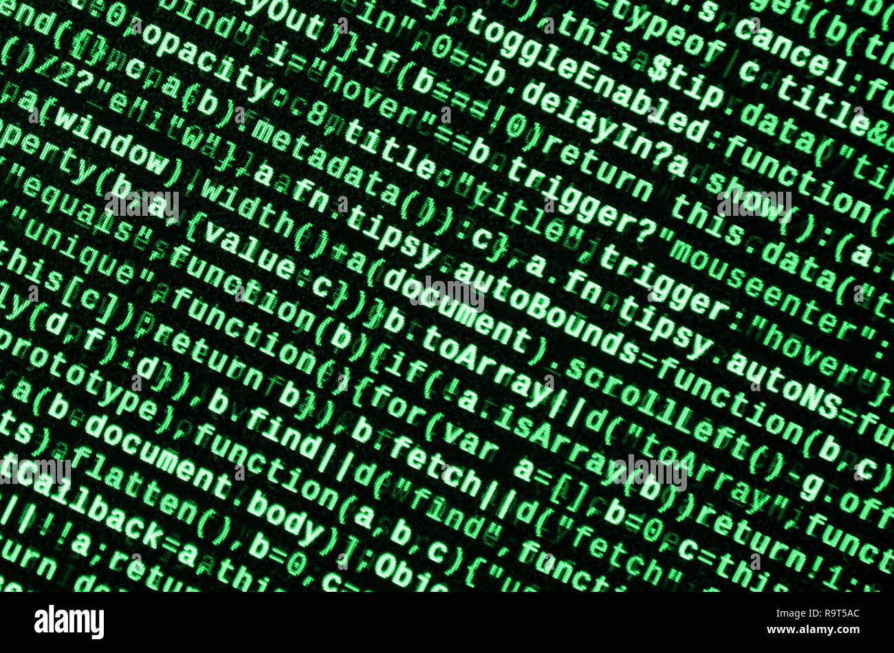 Computer program preview. Programming code typing. Information technology website coding ...