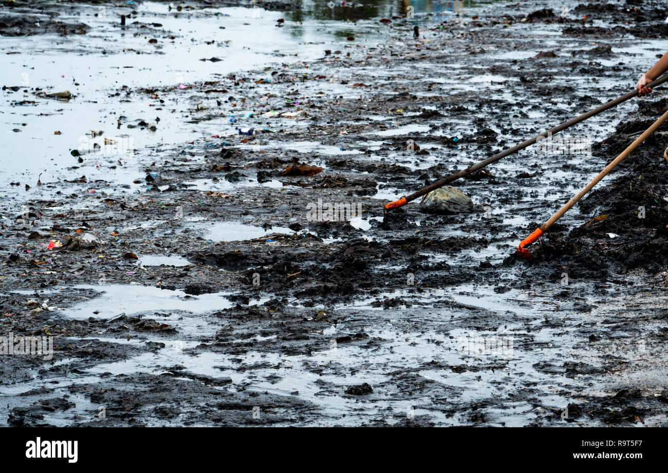 Volunteer use the rake to sweep the trash out of the sea. Beach cleaner ...