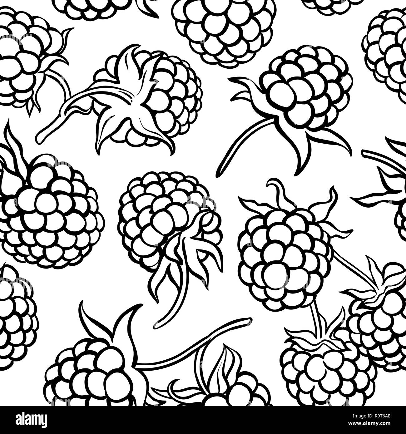 Raspberry sketch vector vectors hi-res stock photography and images - Alamy