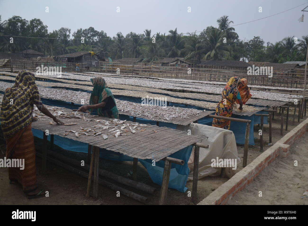 Chhuri dried fish hi-res stock photography and images - Alamy
