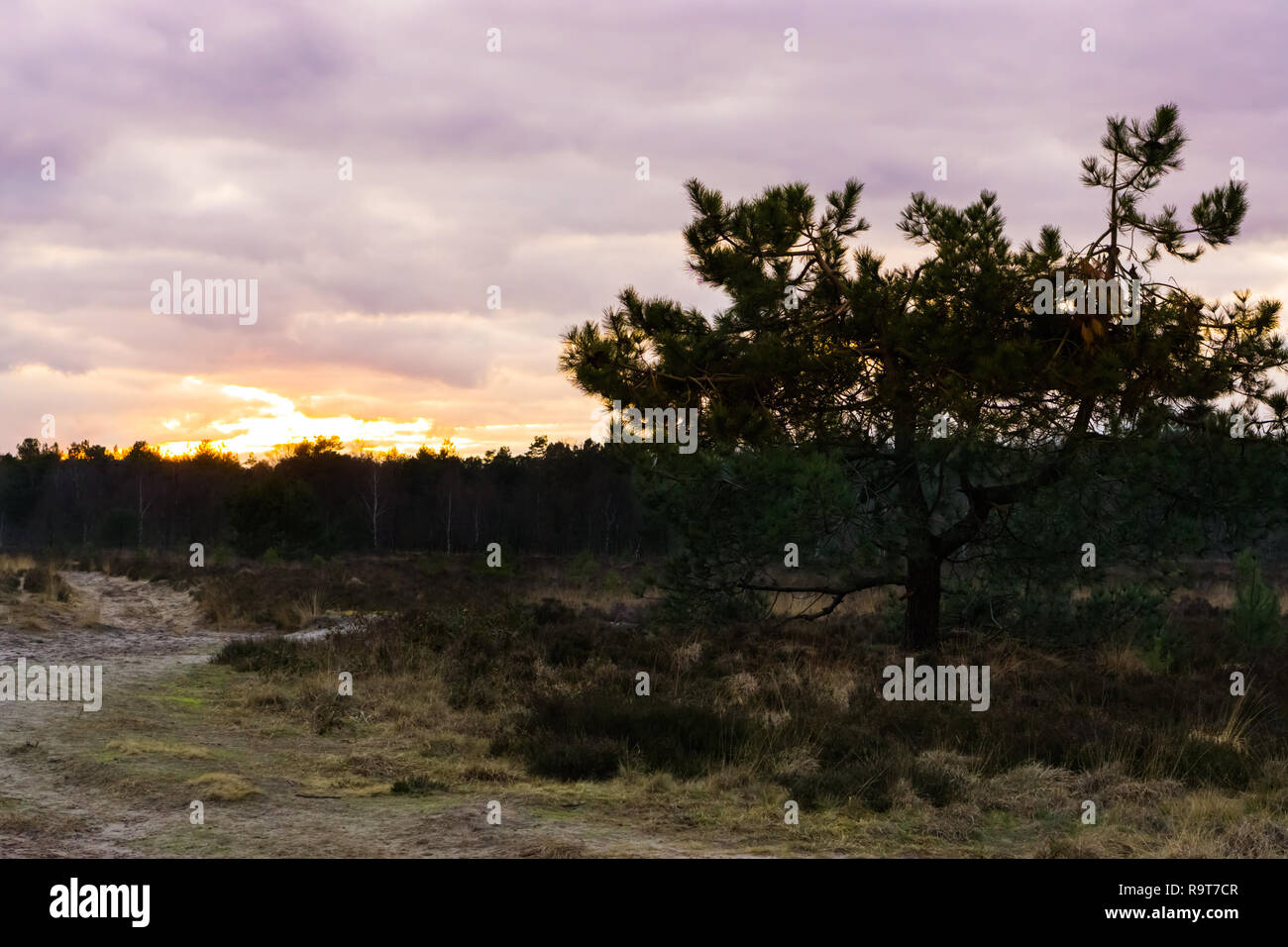 sunset in a heather landscape, colorful colors in the sky and clouds ...