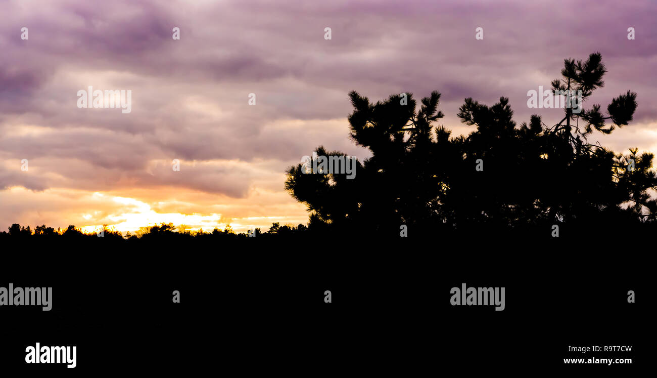 sunset in heather landscape that are dark silhouettes, colorful sky and ...