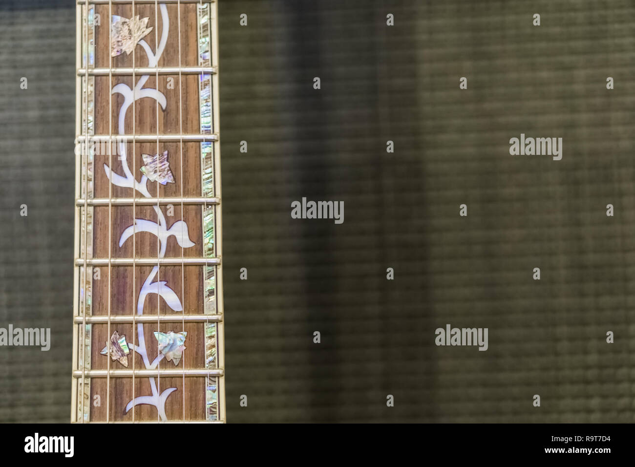 closeup of a electric guitar neck decorated with a tree of life inlay ...