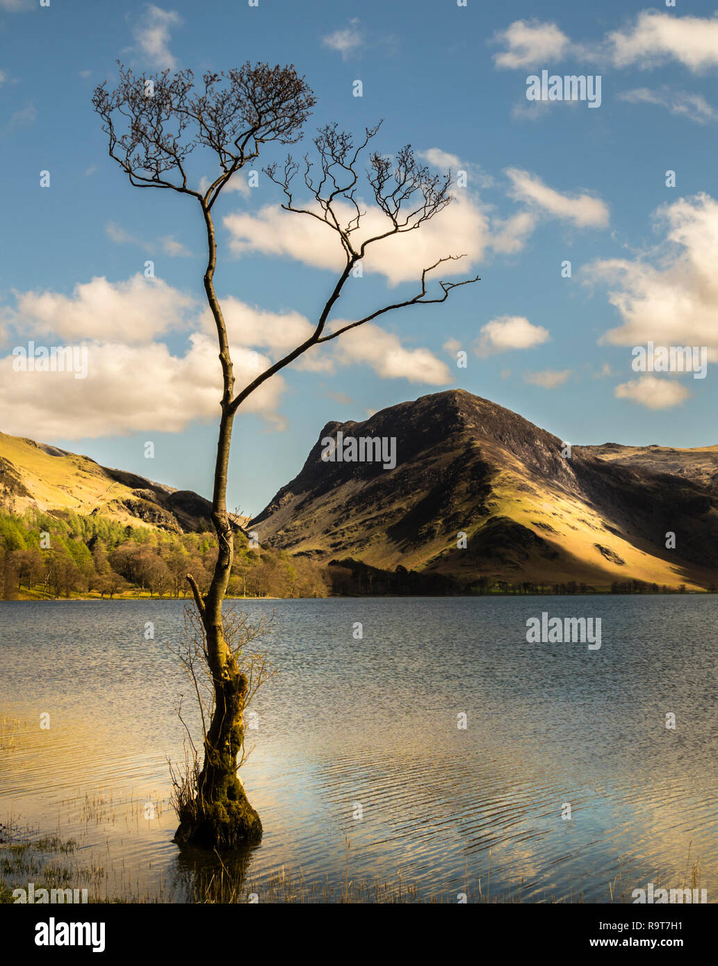 A view across Buttermere Lake with Fleetwith Pike in the background on ...
