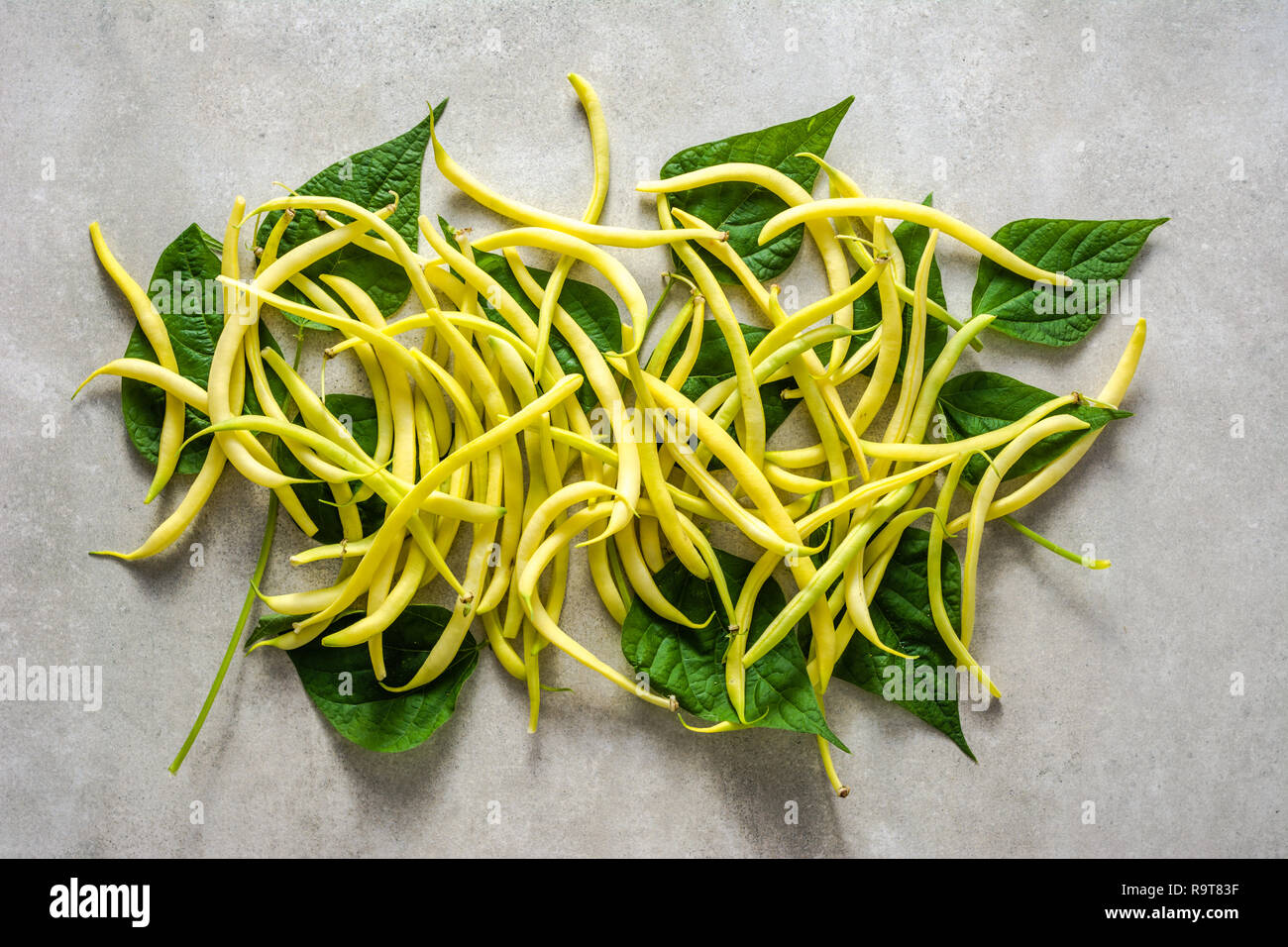 Fresh bean, yellow pods of beans on white background. Freshly harvested ...