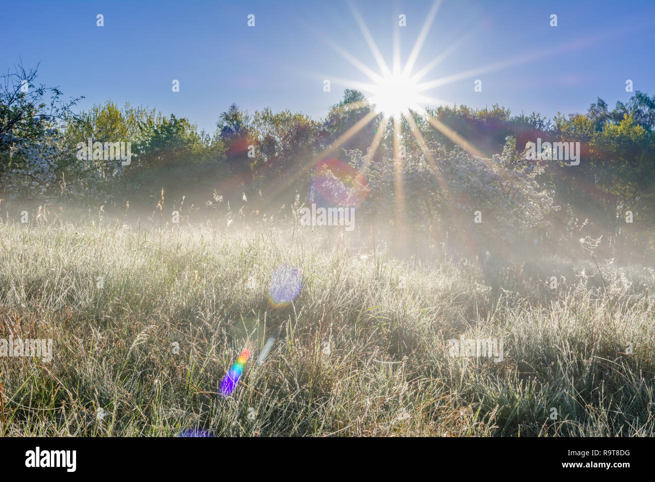 Sunlight over field hi-res stock photography and images - Alamy