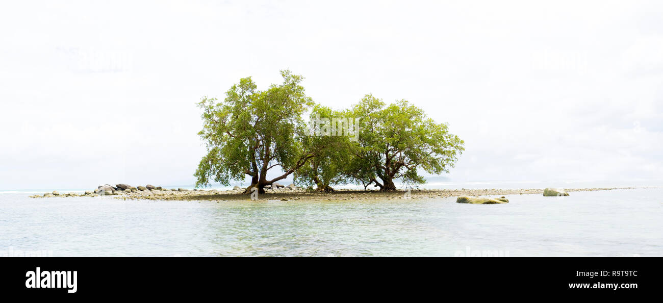 Island with two trees in the sea Stock Photo - Alamy