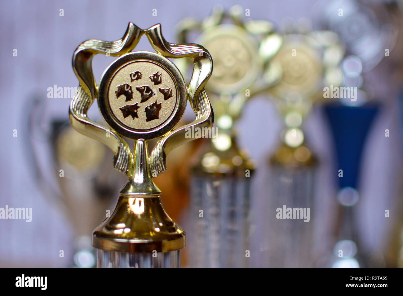 Close up of a golden 1st place dog show goblet trophy with emblem with ...