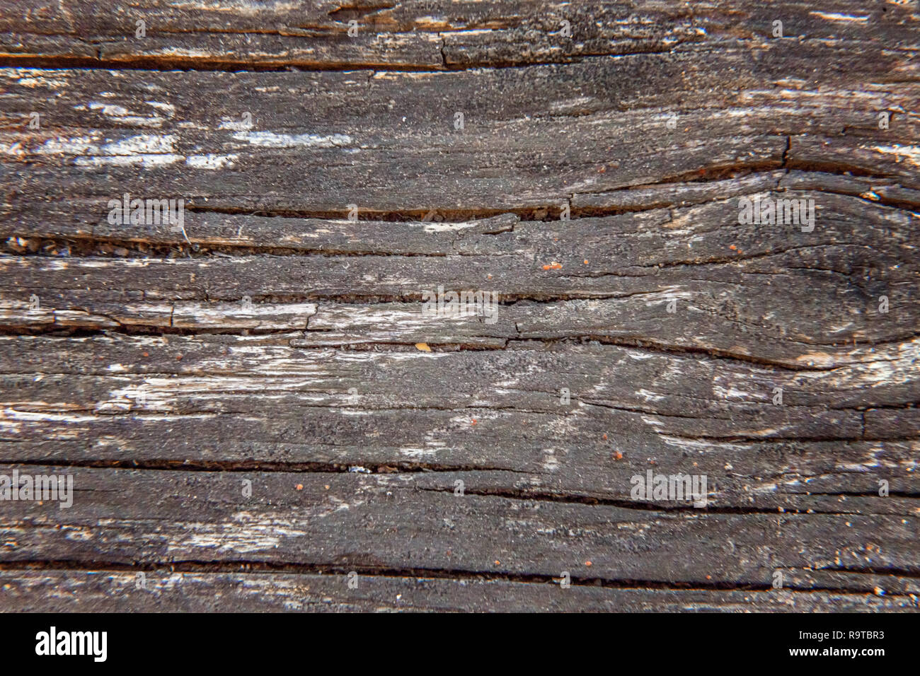 Simple eco rustic old vintage wooden desk texture. Close up of wall ...