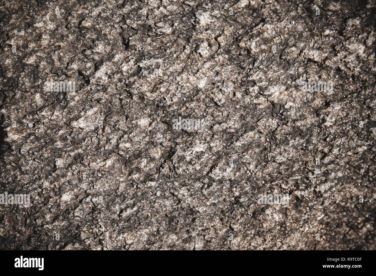 Close-up old aged rustic tree bark in dark color with natural pattern ...