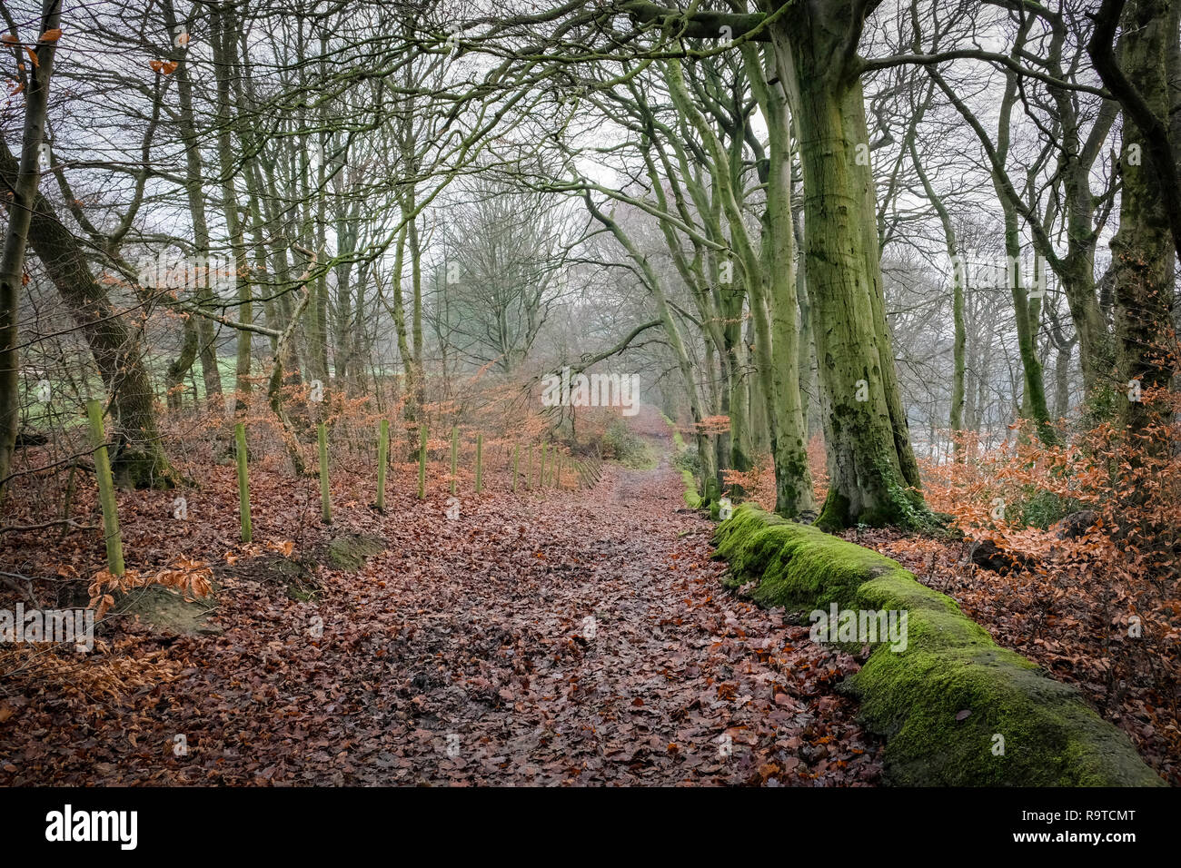Chellow Dene, Bradford, Yorkshire, England Stock Photo - Alamy
