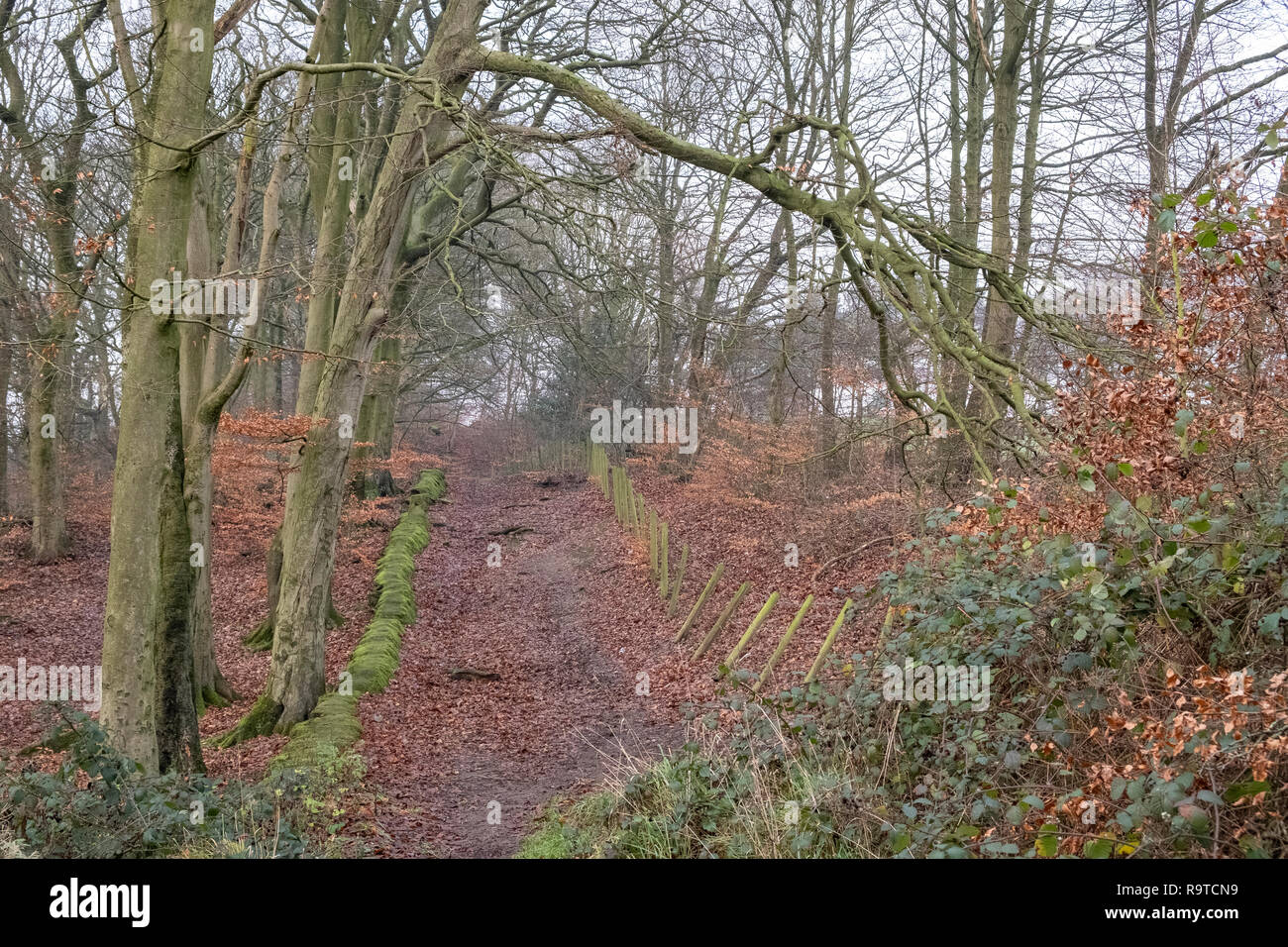 Allerton west yorkshire hi-res stock photography and images - Alamy