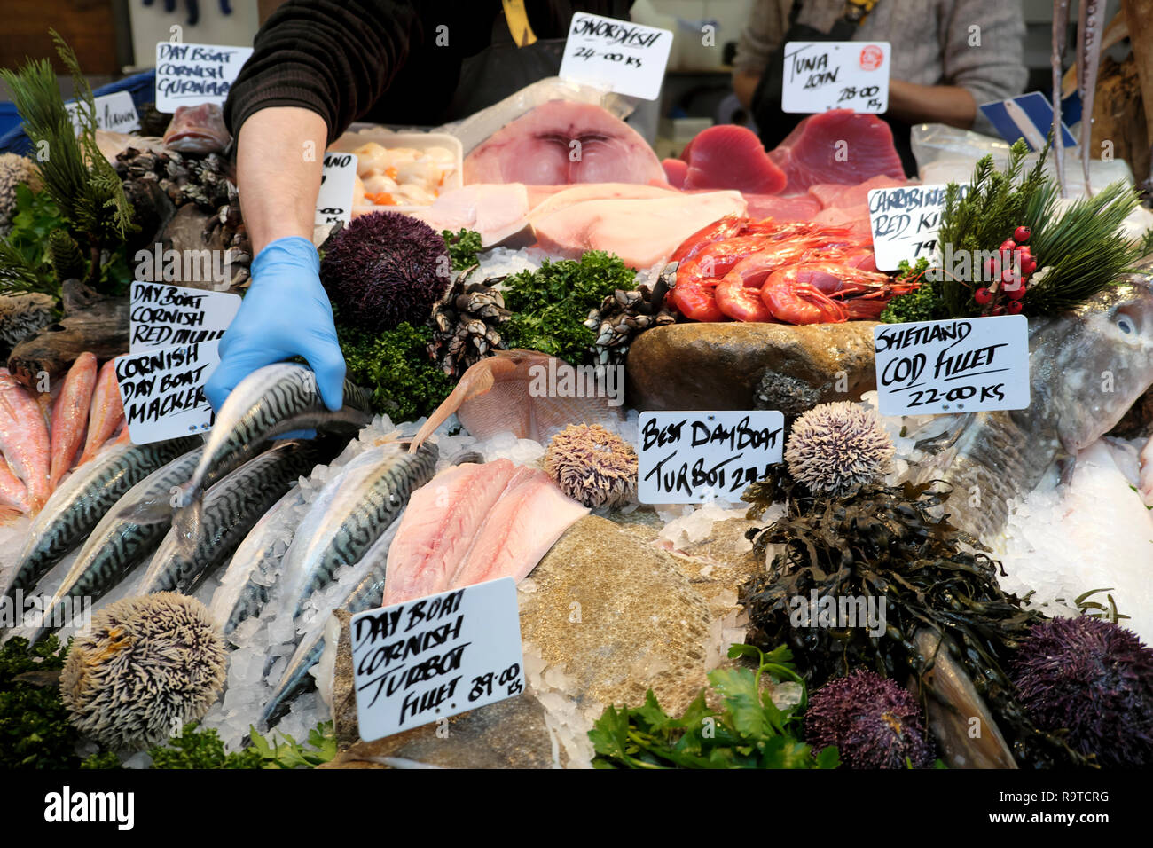 Cod fish sea uk hi-res stock photography and images - Alamy