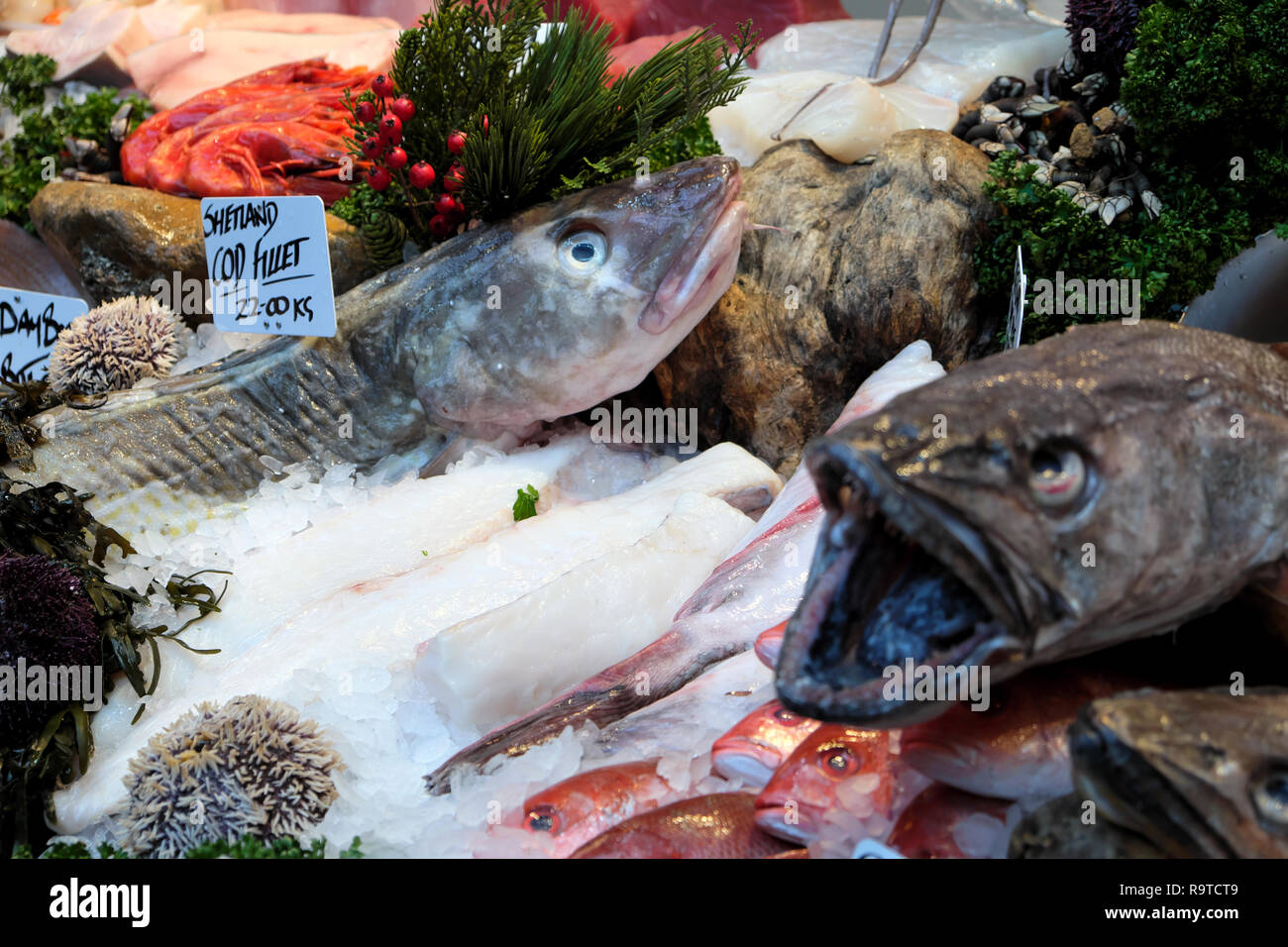 Shetland cod fillet hi-res stock photography and images - Alamy