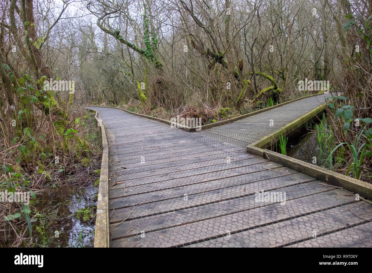 Boardwalk broad norfolk hi-res stock photography and images - Alamy
