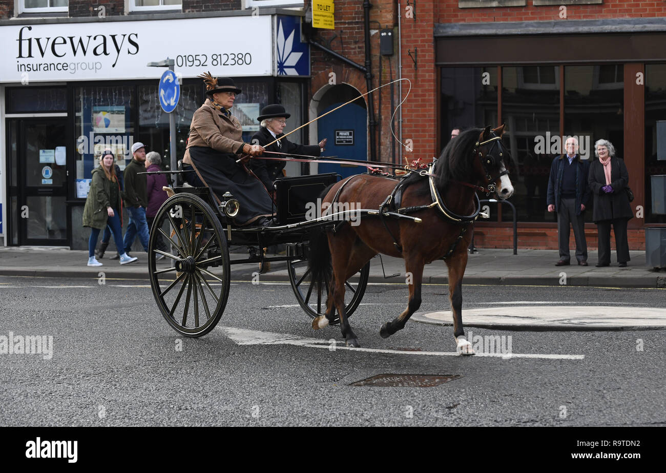 Carriage driving uk hi-res stock photography and images - Alamy