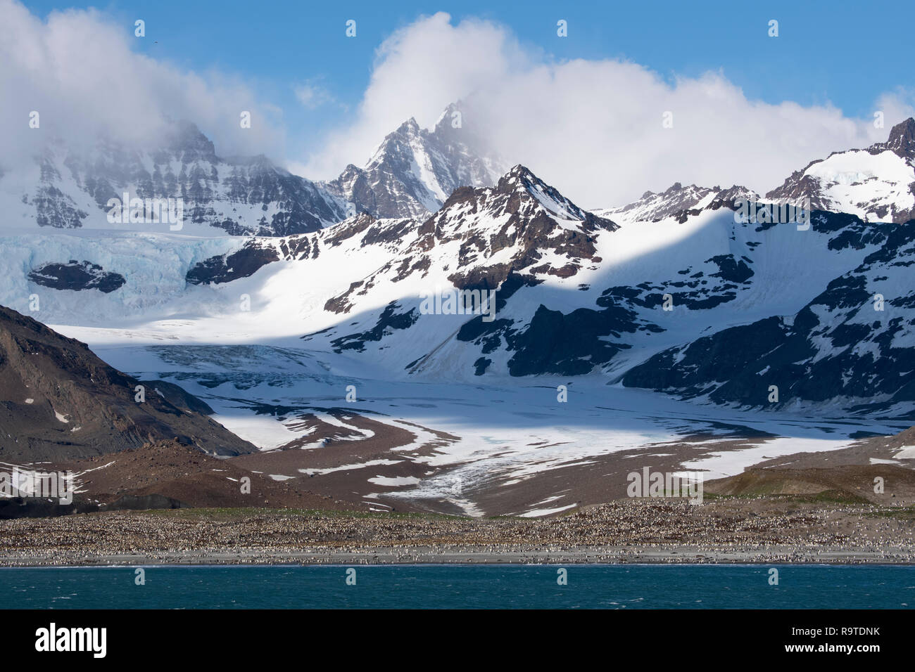 South Georgia, St. Andrews Bay, Coastal view of the Allardyce mountains ...