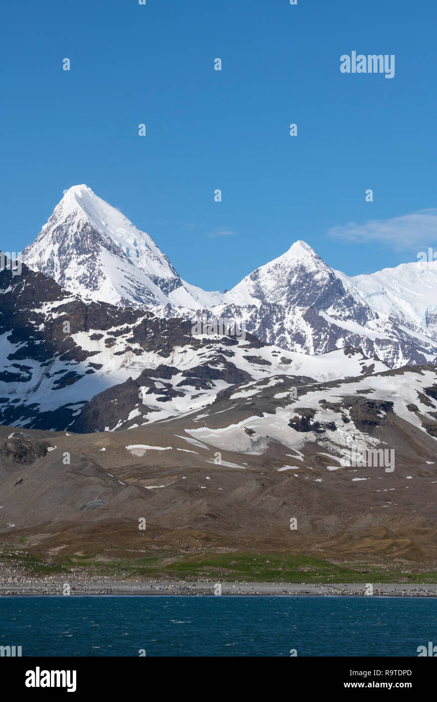 South Georgia, St. Andrews Bay, Coastal view of the Allardyce mountains ...