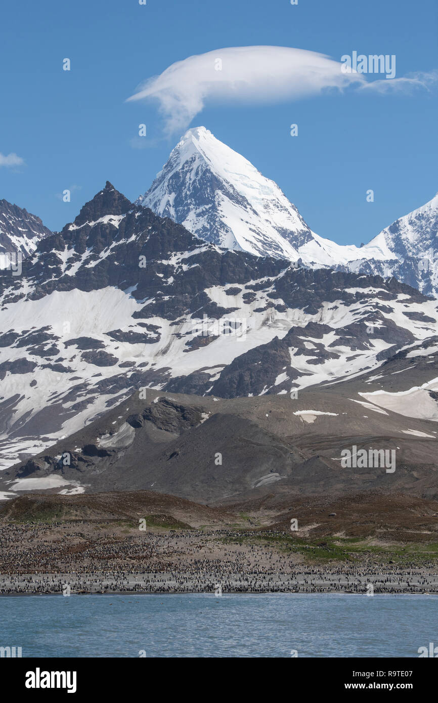 South Georgia, St. Andrews Bay. Coastal view of the Allardyce mountains ...