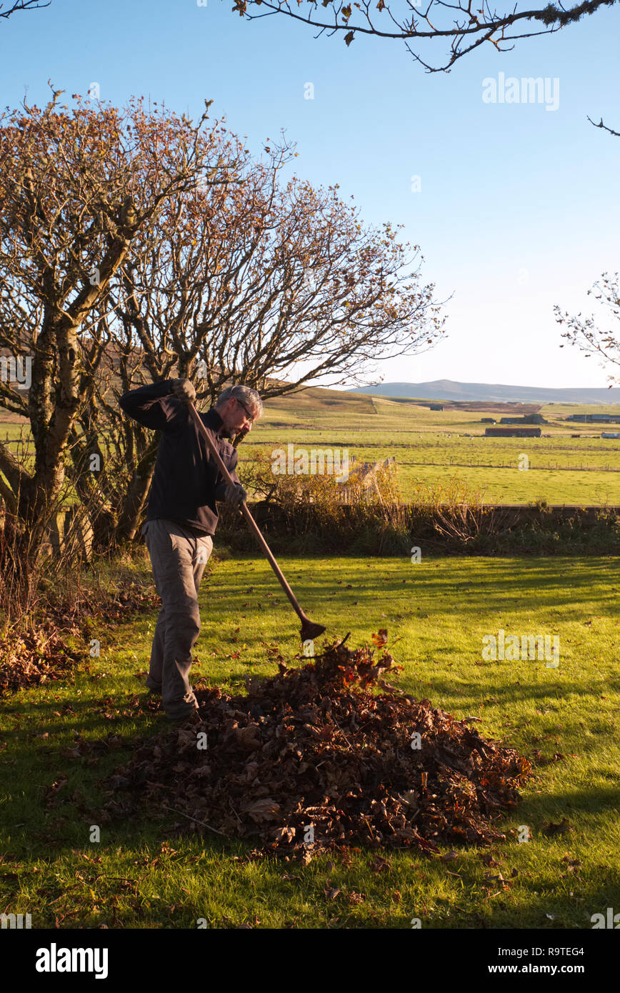 Sweeping autumn leaves hi-res stock photography and images - Alamy