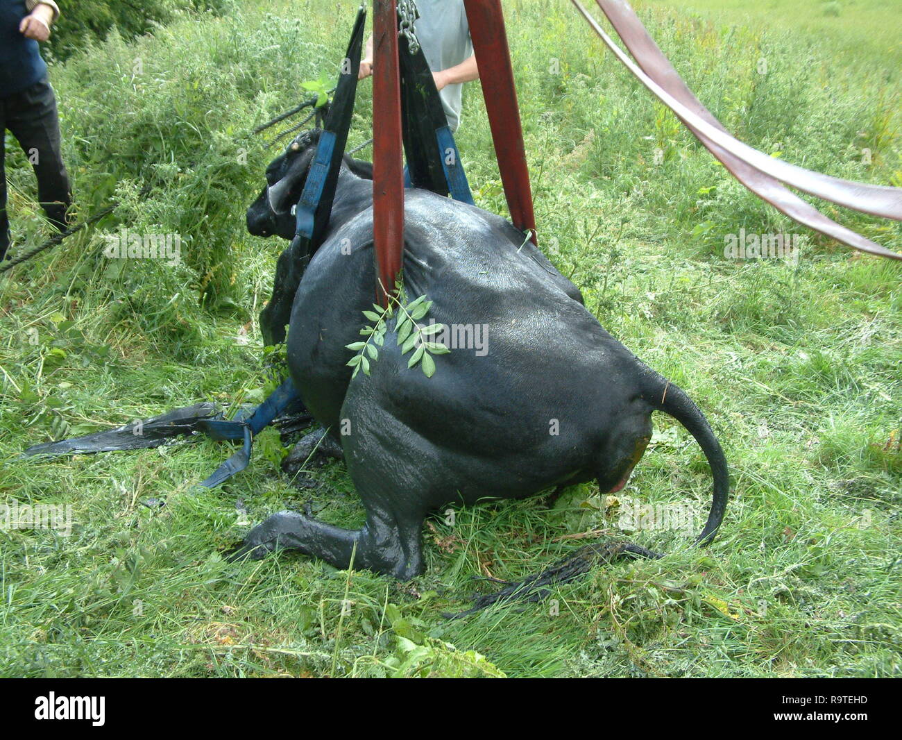 Heavy lifting equipment hi-res stock photography and images - Alamy