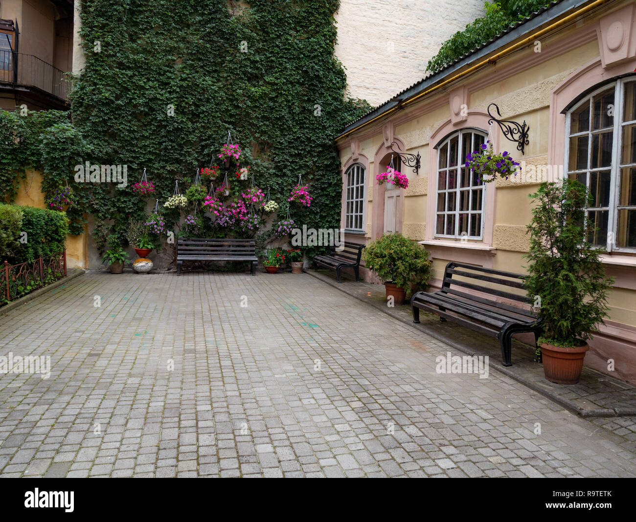 cute cozy empty courtyard with flowerpots and green leaves wall ...