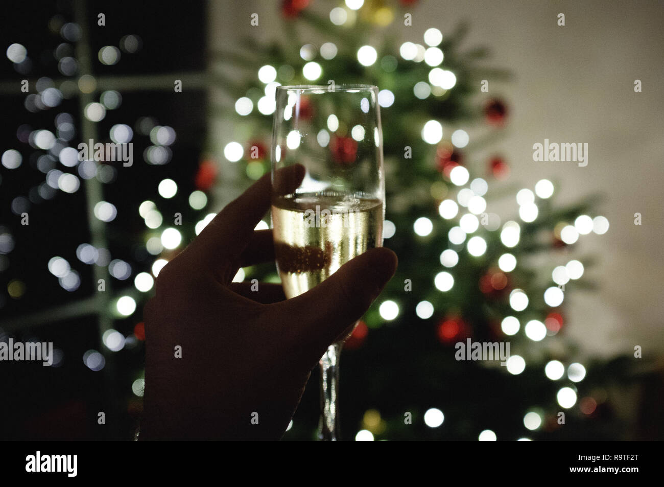 drink at christmas tree Stock Photo - Alamy