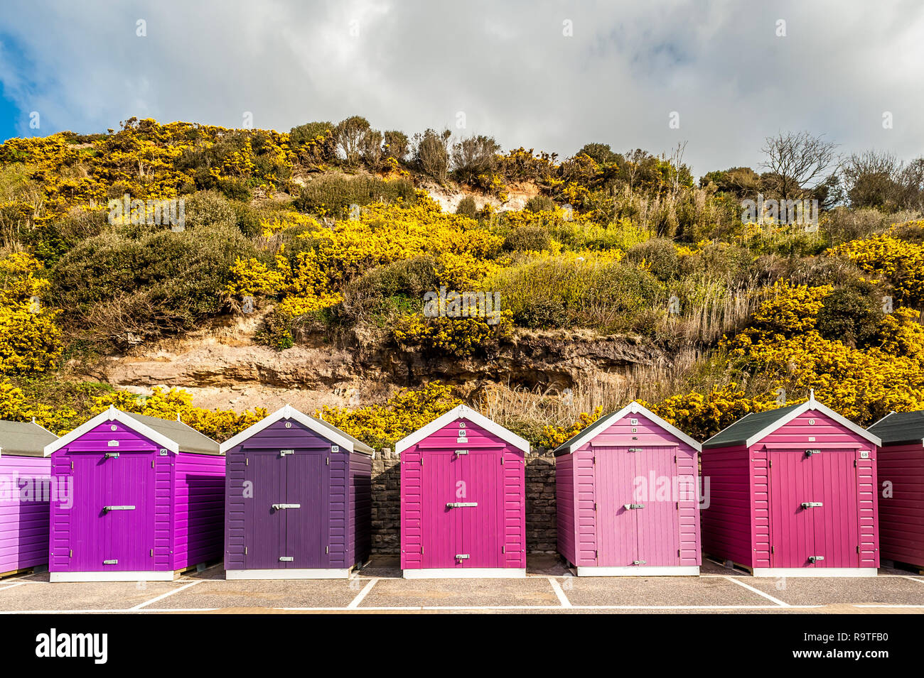 Colorful storage beach huts lined on seaside Stock Photo - Alamy