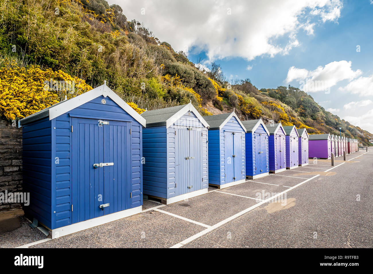 Colorful storage beach huts lined on seaside Stock Photo - Alamy