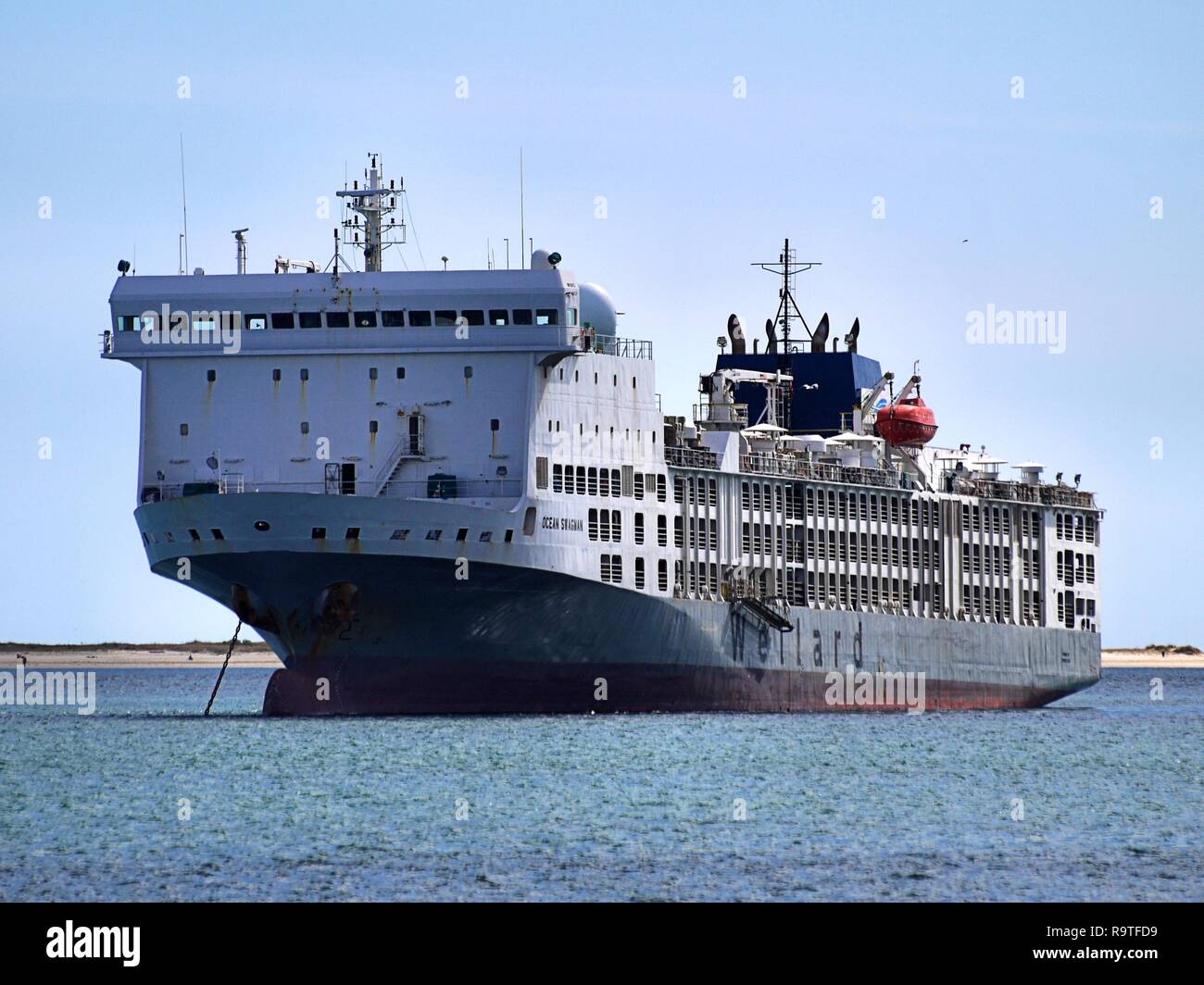 Livestock carrier hi-res stock photography and images - Alamy